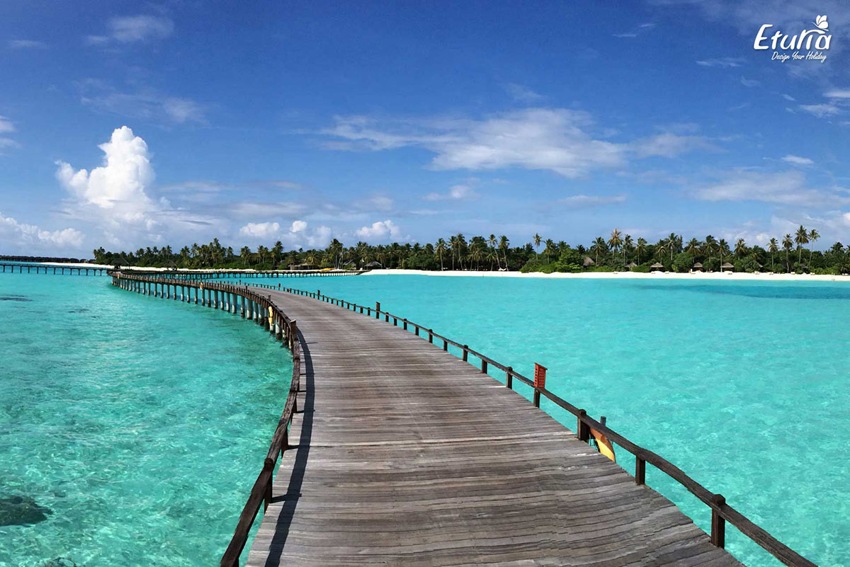 12 idei pentru o vacanta perfecta in Maldive - Blog Eturia