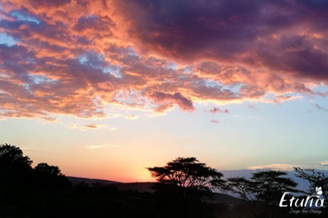 Share a Trip, un nou proiect designed by Eturia - Blog Eturia