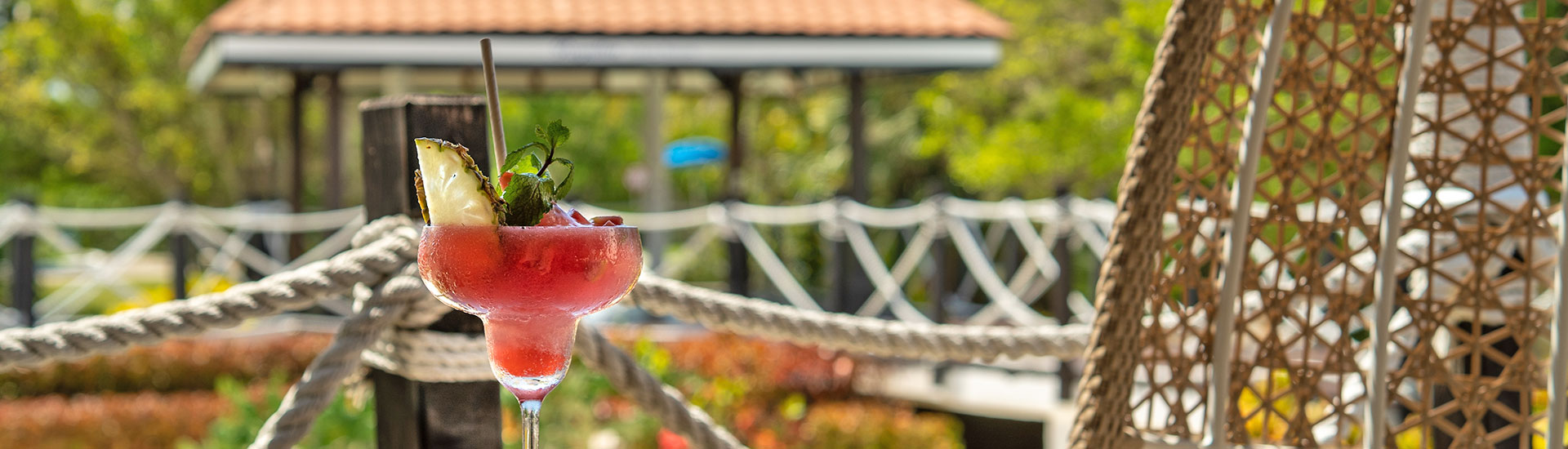 Ce poti face in Cuba? 7 experiente unice la Blue Diamond Resorts